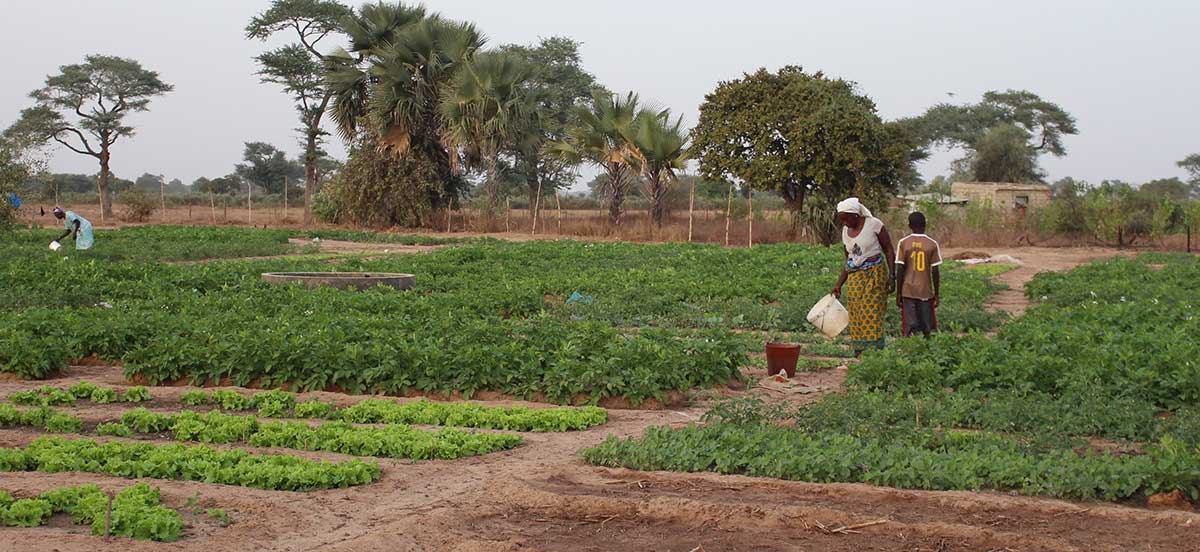 Sustainable Development Goals Mapping | SERVIR